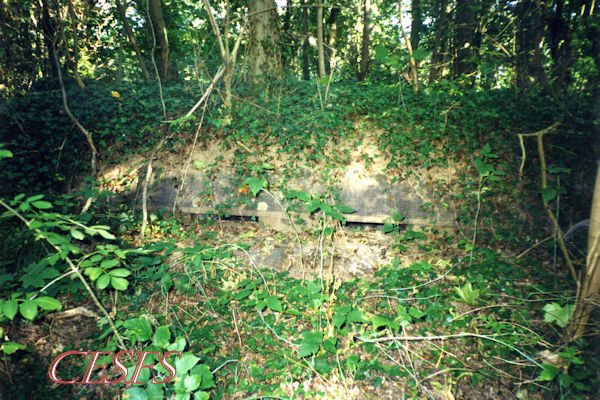 Fort Frère :: Fort Baden - Frère